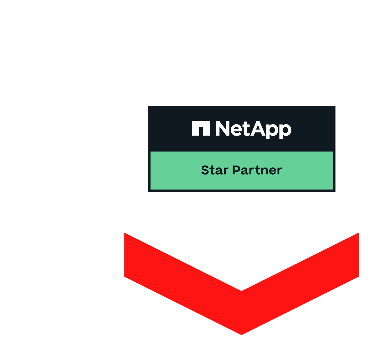 NetApp Star Partner | Logicalis